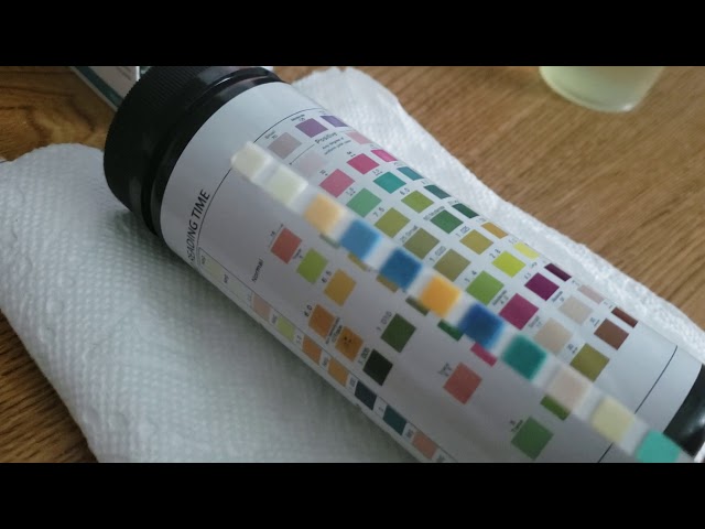 Rapid Cards - Urine Strip 10 Parameter Wholesaler from Lucknow