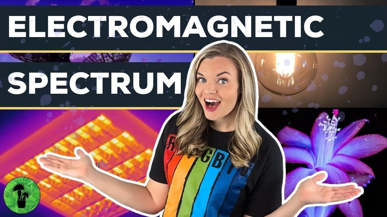 Electromagnetic Spectrum | Light Wave Energy