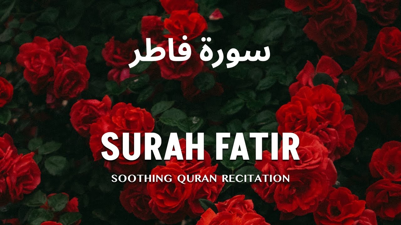 Surah Fatir سورة فاطر The Originator QuranicWisdom