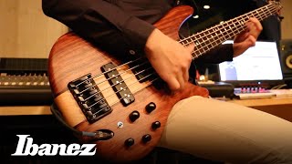 Ibanez SR755 - What To Know & Where To Buy | Equipboard