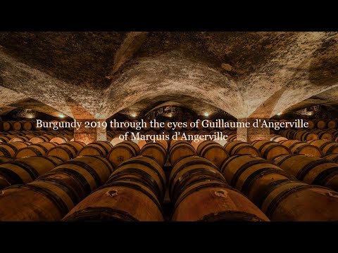 Burgundy 2019 through the eyes of Guillaume d'Angerville of Marquis d'Angerville