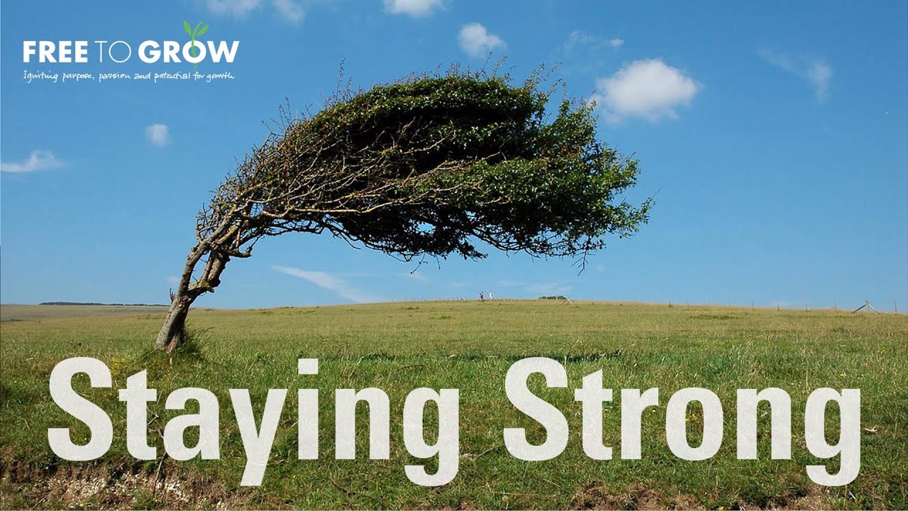 Staying Strong Programme - Overview