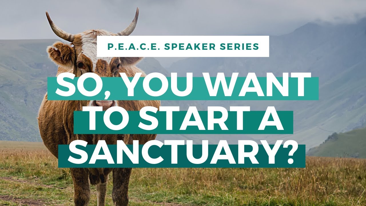 So You Want To Start A Sanctuary? | The Open Sanctuary Project | P.E.A.C.E. Speaker Series