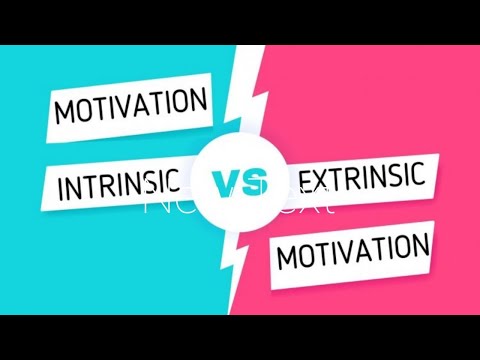 Intrinsic and Extrinsic Motivation Examples