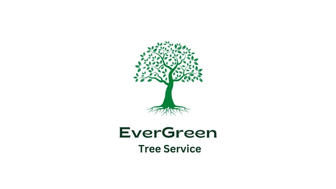 Evergreen Tree Service in Eugene Oregon: Superior Tree Removal, Pruning, Trimming & Stump Grinding