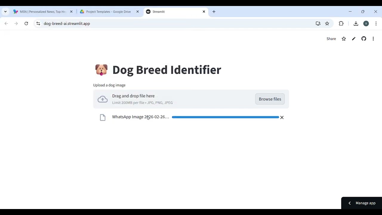 Dog Breed Identification Using Transfer Learning 