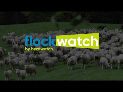 Introducing Flockwatch by Herdwatch