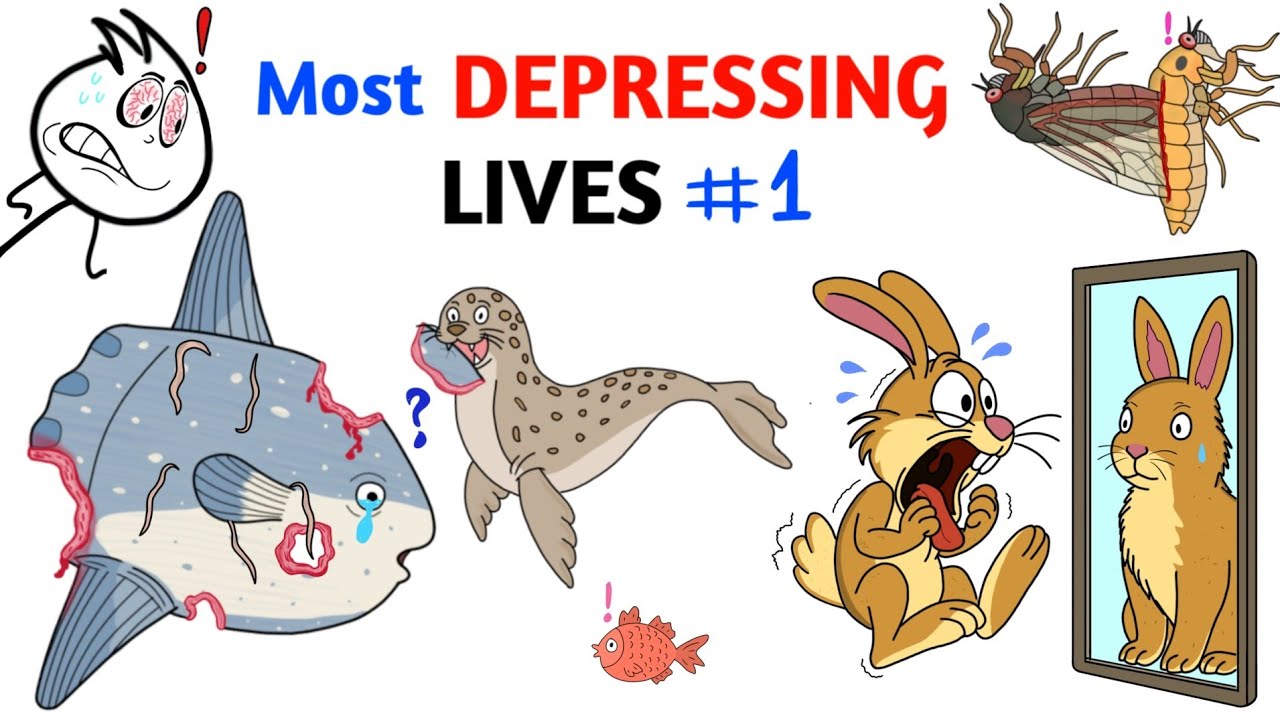 Animals With The Most Depressing Lives - Part 1