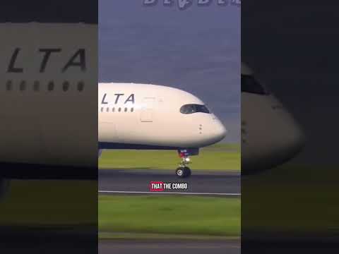 US Flight Chaos: Delta Denies Boarding to EAD. #news #america #aviation