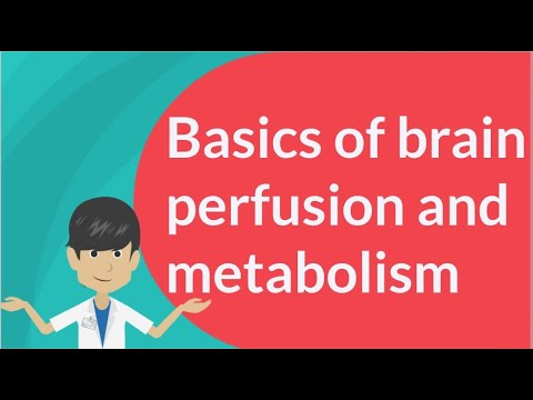 Basics of brain perfusion and metabolism