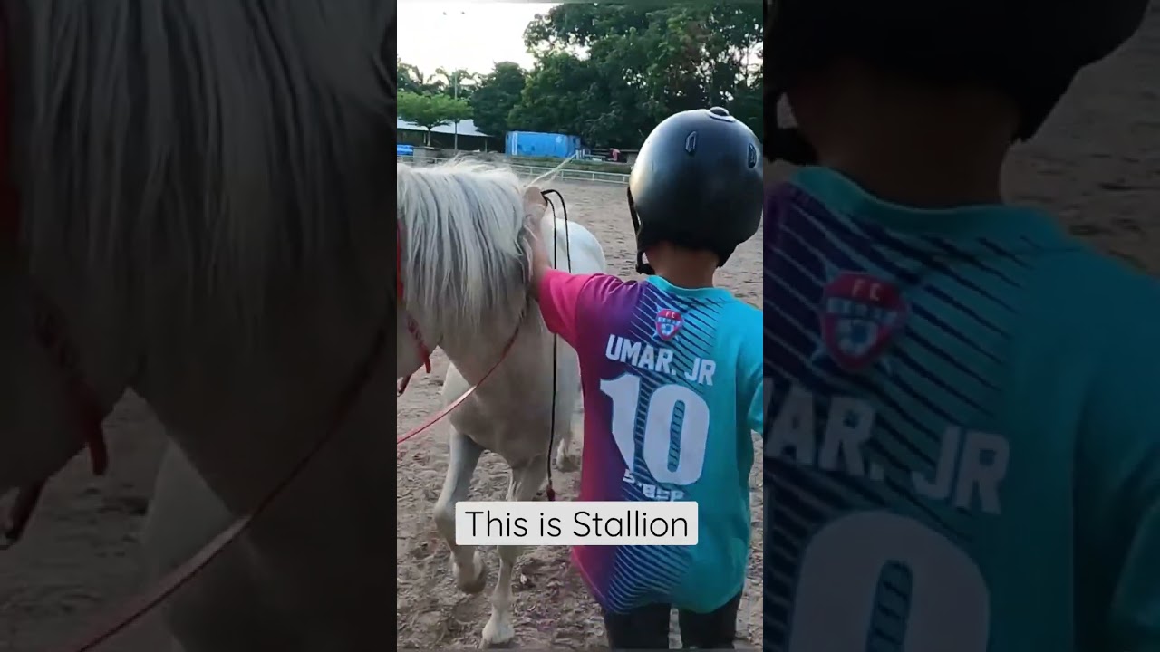 Ride a Stallion, Bareback and Self Mounting