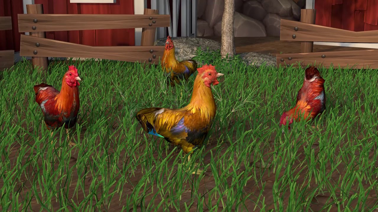 CHICKEN SCENE _ CINEMA4D Standard render Without post effect