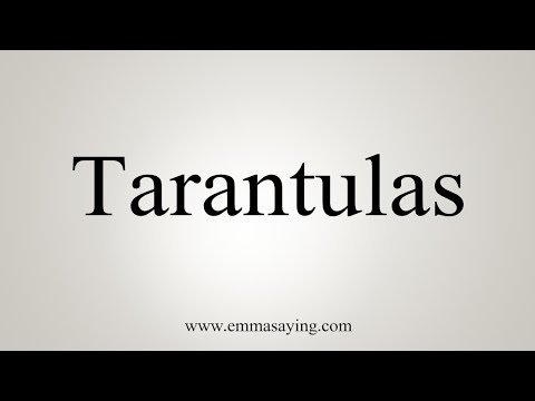 How To Say Tarantulas