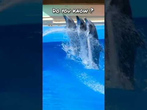 5 Fascinating facts you never knew!! #shorts