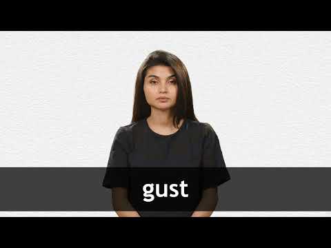 GUST definition in American English | Collins English Dictionary