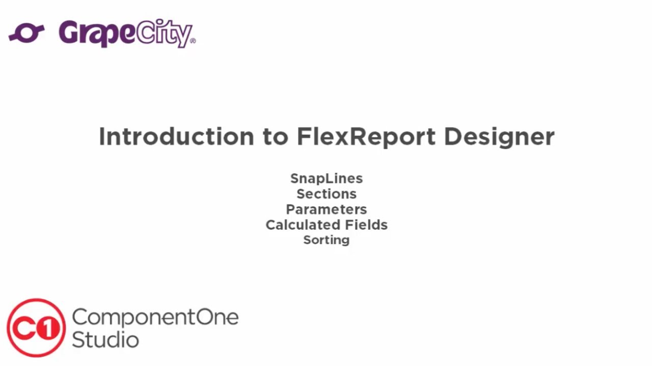 FlexReport Designer