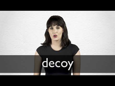 DECOY definition and meaning | Collins English Dictionary