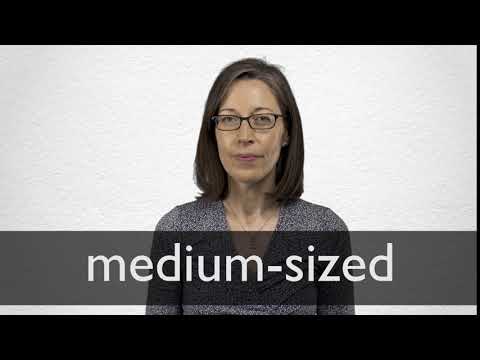MEDIUM-SIZED definition and meaning | Collins English Dictionary