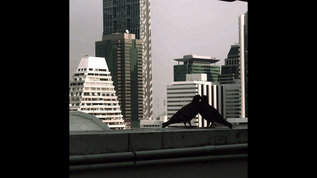 เธอคงไม่รักฉัน - PATCHARA x JARNJAME x QUADPOON