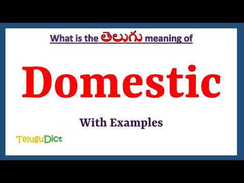 Domestic Meaning in Telugu | Domestic in Telugu | Domestic in Telugu Dictionary |