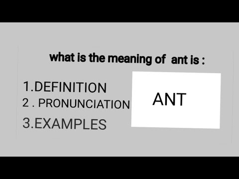 What is the meaning of ant ||| Definition of the ant || Ant meaning in English