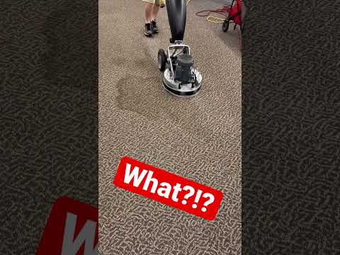 Carpet cleaning magic? #shorts #cleaning #carpetcleaning