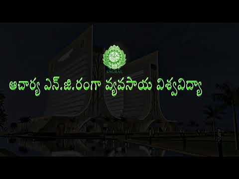 Angrau song