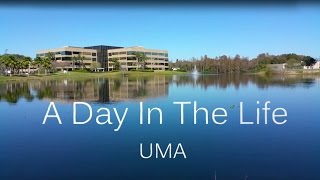 Working At Ultimate Medical Academy: Company Overview and Culture - Zippia