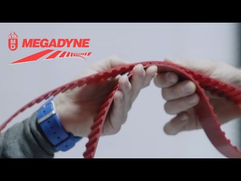 Megadyne Timing Belts - Latest Price, Dealers & Retailers in India
