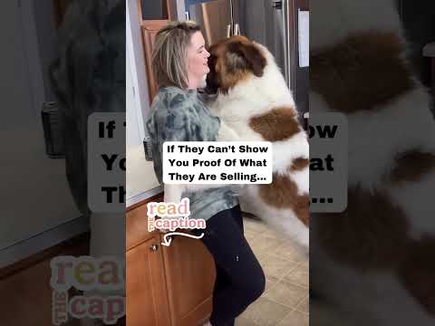 Make Money Online With Your Pet. 🐶 #makemoneyonline #makemoneyfromhome #sidehustle #makemoneyfast