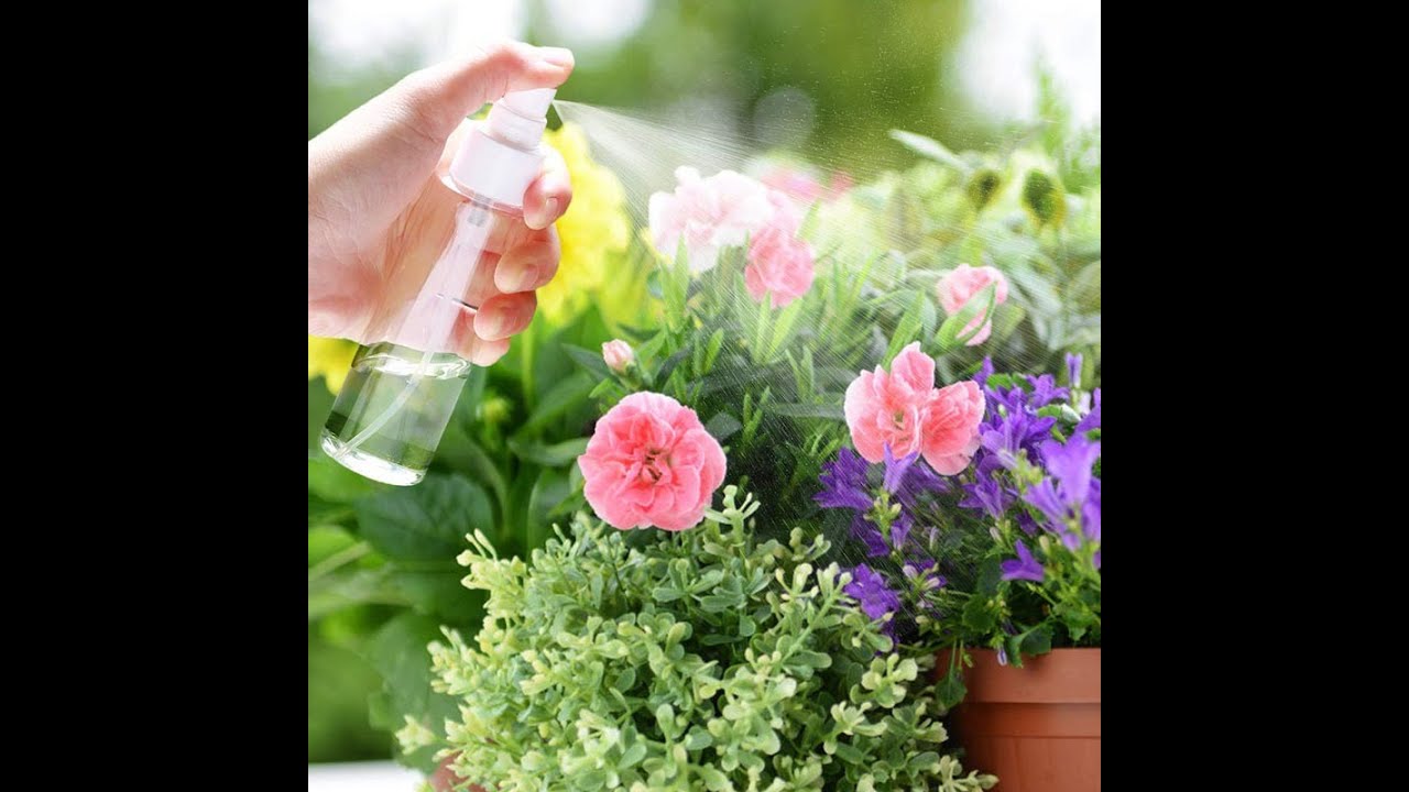 Presentacion envases 100, 250, 1000ml