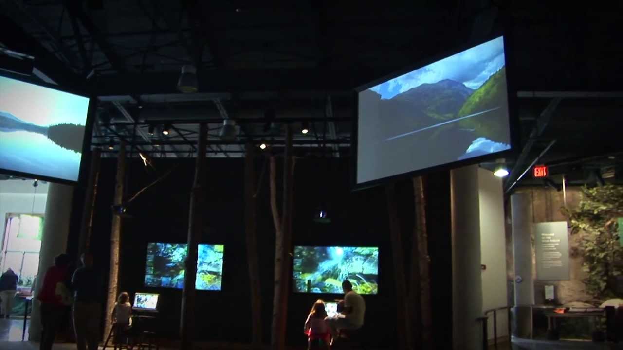 Inside The Wild Center