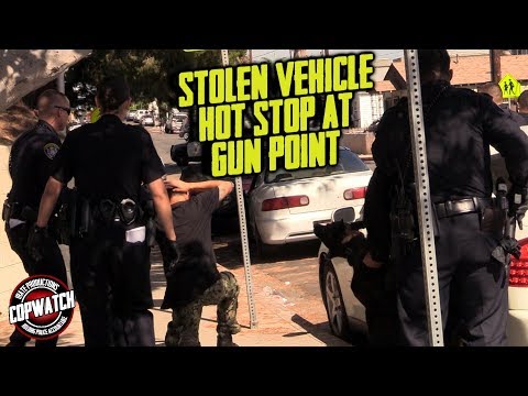Copwatch | Stolen Vehicle Hot Stop | Black Panther Bootlicker | United ...