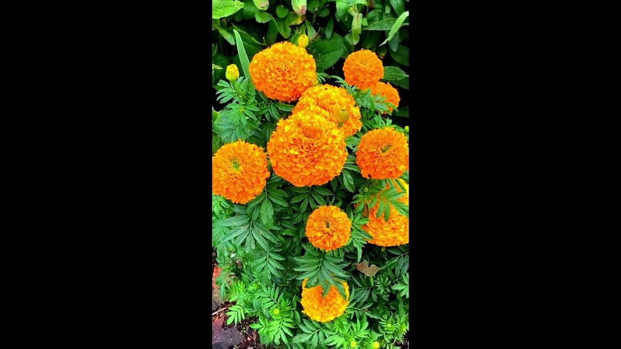 Welcome to Newton Center 10072025