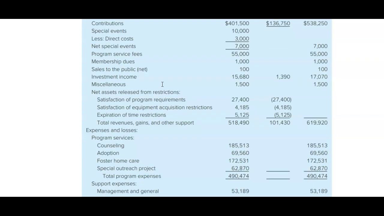 Module 3 Connect Assignment - Nonprofit Financial Statements