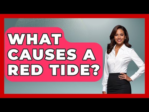 What Causes A Red Tide? - Boat Life Masters