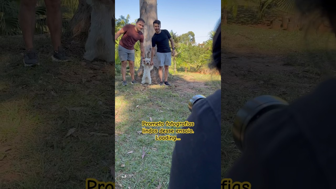 Fotografia Pet ensaio do Romeu com os papais ❤️ #shorts #cursodefotografia