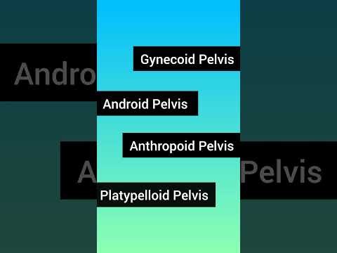 Types of Pelvis l Pelvis Types l Female Pelvis #pelvis#typesofpelvis#obgyn#medical#norcet#nursing