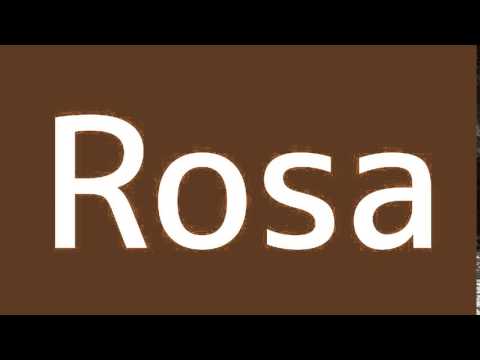 How to say Pink in Spanish