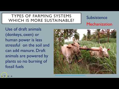 IB ESS Topic 5.2 Terrestrial Food Production Systems and Food Choices
