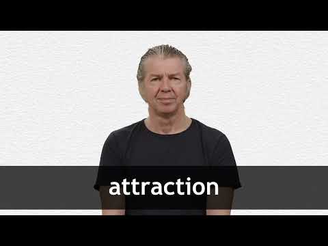 ATTRACTION definition and meaning | Collins English Dictionary