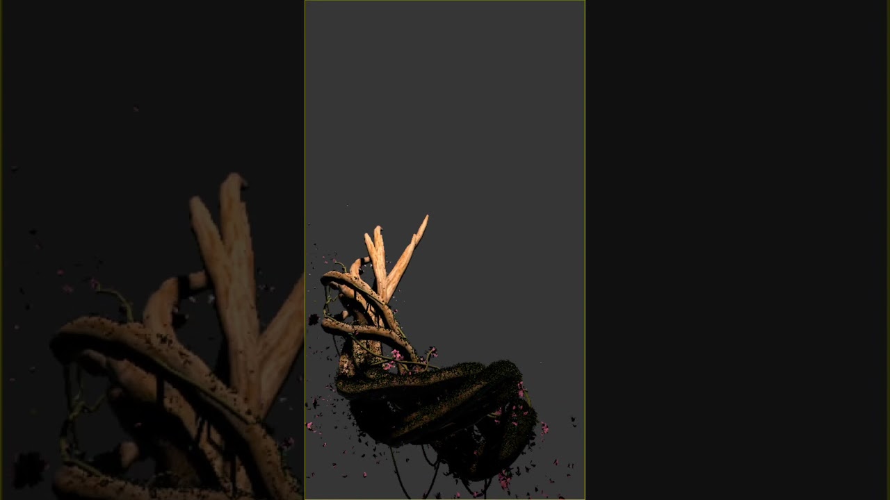 Vine growing Simulation