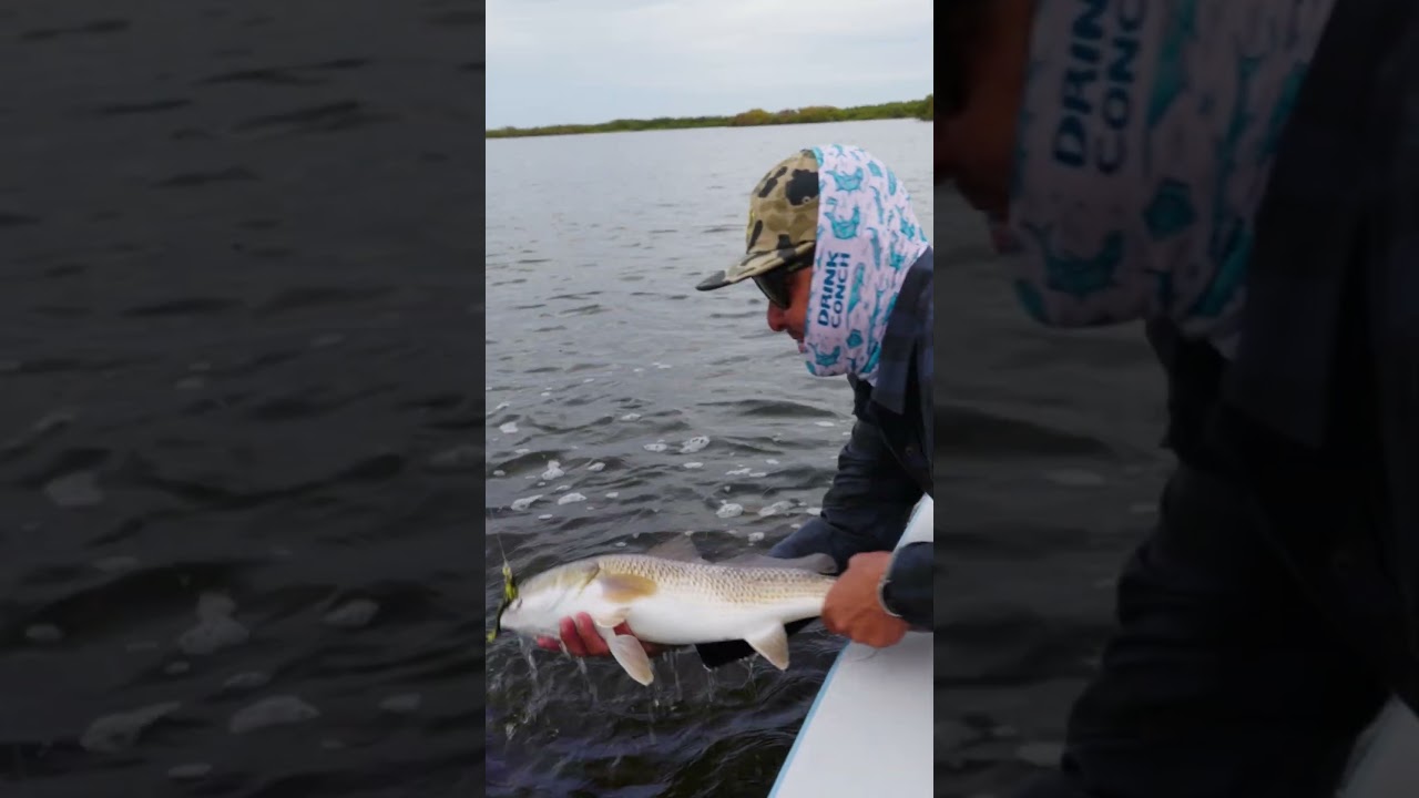 Adapting to the Conditions