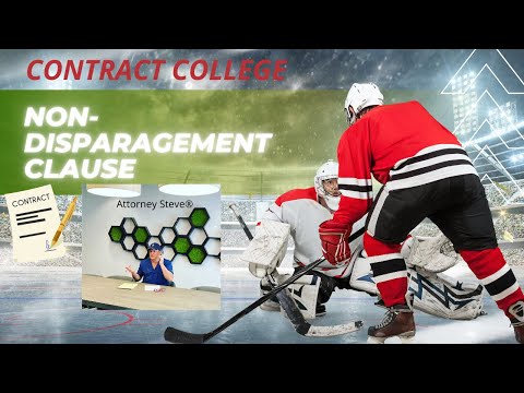 What is a Non-Disparagement Clause?