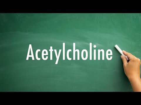 How do you pronounce acetylcholine - How to pronounce acetylcholine