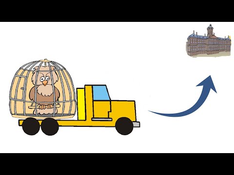 American Sign Language ASL Video Dictionary - ship