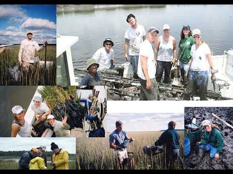 Brownbag: "Marshes, Marshes, Marshes!"