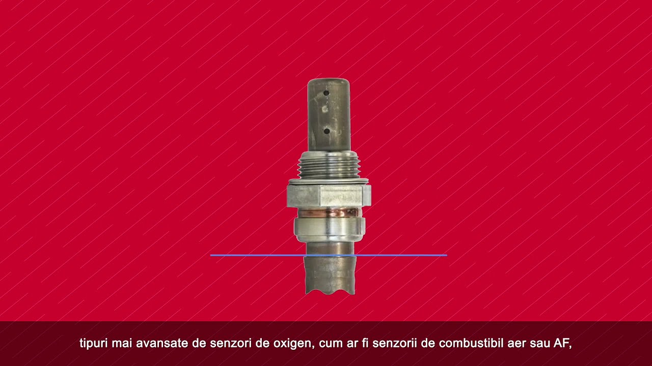 DENSO Oxygen Sensor Overview RO