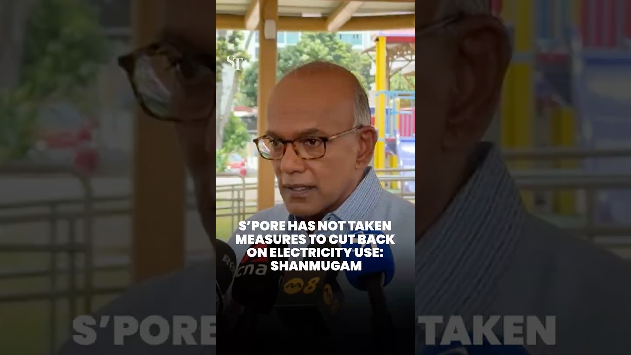 S’pore has not taken measures to cut back on electricity use: Shanmugam