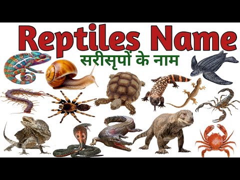 Reptiles Name with facts | Reptiles Name in Hindi and English | Names of crawling animals | REPTILE